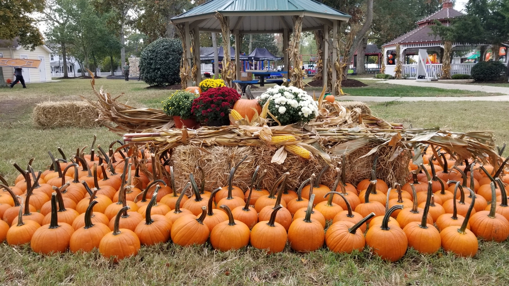 Official Website for the Town of Ocean View, Delaware - Town Photos